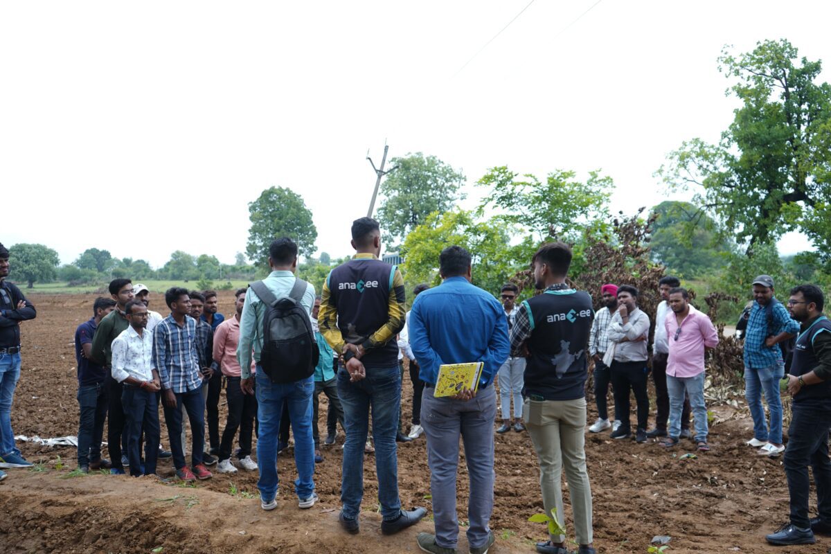 How Anaxee Is Leading Climate Action in Developing Nations via Nature-Based Carbon Credits ...