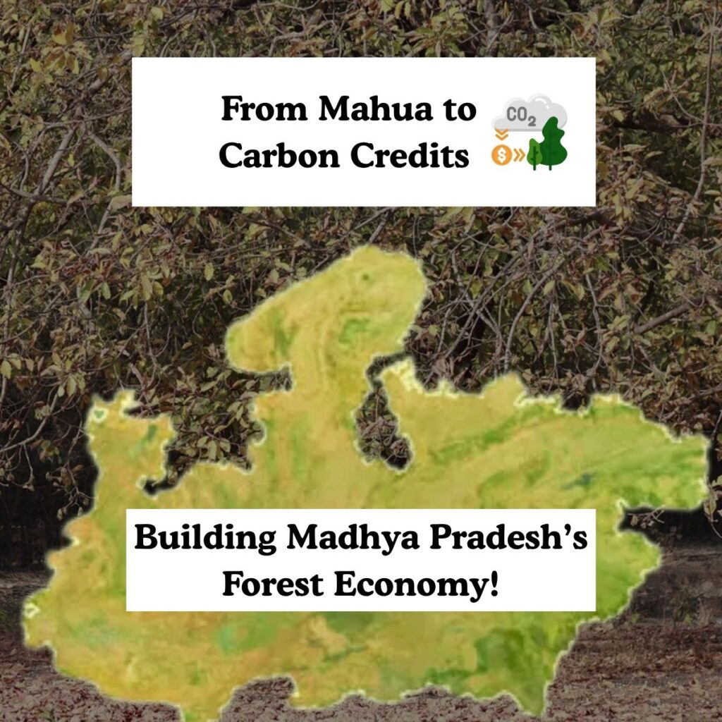 Madhya Pradesh Forest Economy: NTFP, Carbon Credits & Digital MRV in ...